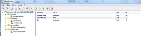 Ldap 注入与防御ldapzhur Csdn博客