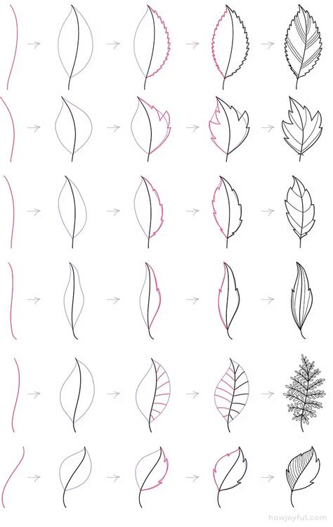 Drawing Leaves How To Draw Step By Step Doodle A Leaf Artofit