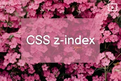 Css Z Index A Guide On How To Create And Control Stacked Elements