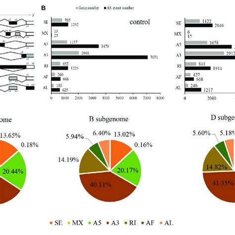 Summary Of Reads From Pacbio Single Molecule Long Read Sequencing Download Scientific Diagram