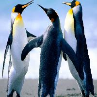 列xxx不属于表 Table 是什么问题 CSDN社区