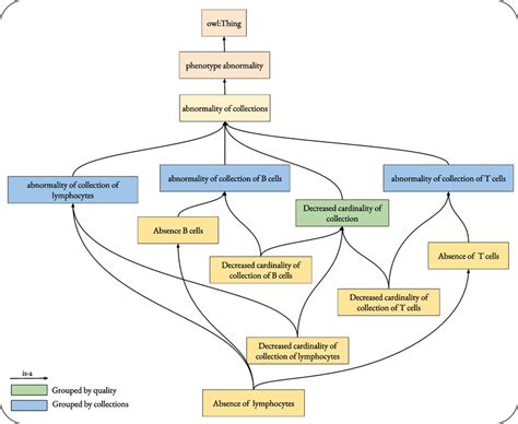 Illustration Of Grouping Classes The Green Class Is An Example Of A Download Scientific Illustration Of Grouping Classes The Green Class Is An Example Of A Download Scientific