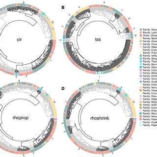Circular Dendrograms Showing Hierarchical Clustering Patterns Among