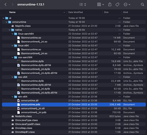 Onnx Runtime For Java Is Packaged With 200mb Onnxruntimepdb In The Win