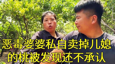 惡毒婆婆私自把媳婦桃園的桃子賣掉，被媳婦發現還死不承認，不料兒子一招直接讓婆婆抬不起頭！婆媳 婆媳關係 婆媳大戰 婆媳矛盾 Youtube