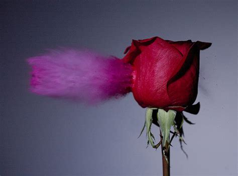 Awesome Blog Awesome Cool Slow Motion Pictures Collection