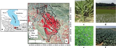 Figure 1 From Crop Mapping Using Random Forest And Particle Swarm