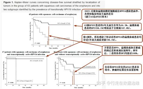 2023—舌根和扁桃体鳞状细胞癌在hpv16感染患病率、类型和临床特征方面的差异 波兰 知乎