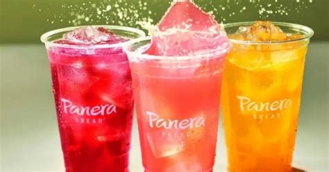 커피 4잔보다 카페인 더 든 레모네이드충전 음료 마신 美 대학생 사망