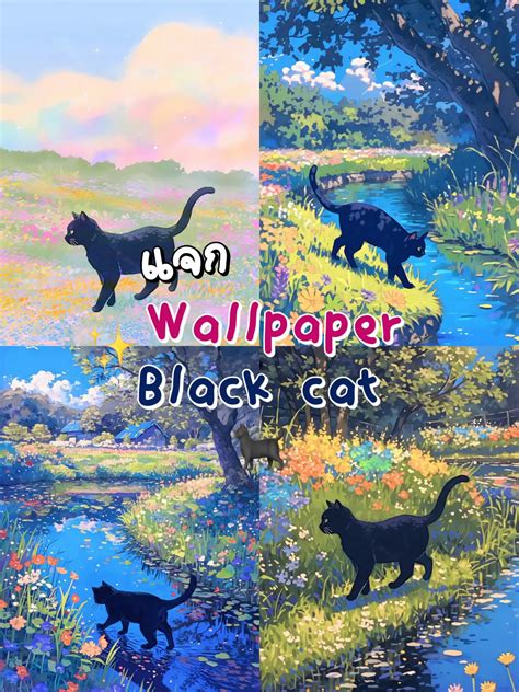 วอลเปเปอร์แมว รูปแมวน่ารักๆ แกลเลอรีที่โพสต์โดย K Ma 🩺📚🎓 Lemon8