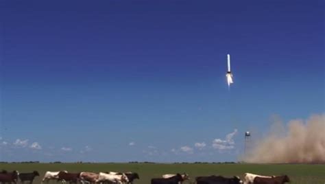 Grasshopper Rocket Scares Herd Of Cows In New Spacex Video Grasshopper Rocket Scares Herd Of Cows In New Spacex Video