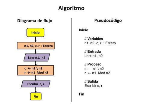 Algoritmo Etapas 4 Codificacin 6interpretacin Del