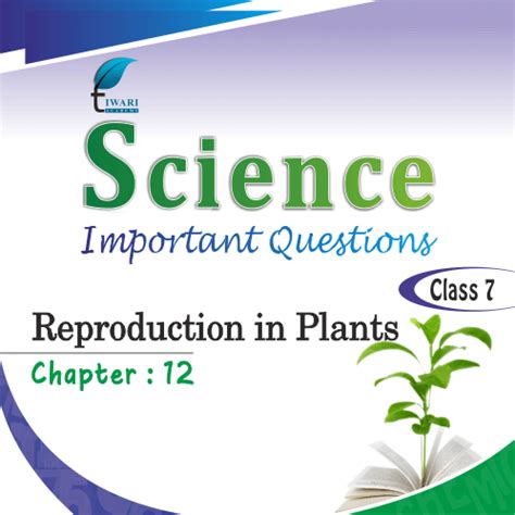 Important Questions Class 7 Science Chapter 12 Reproduction In Plants