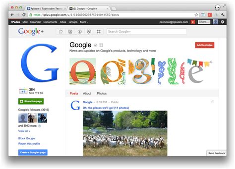 Google Pages O Google Plus Para Empresas
