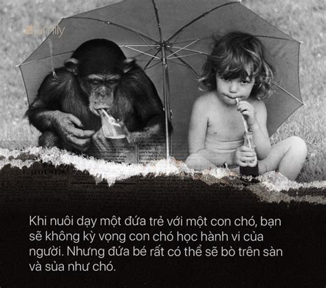 Cho Con Trai V Tinh Tinh N Ng C Ng Nhau Ph C V Th Nghi M Nh Khoa H C V I Ch M D T M I