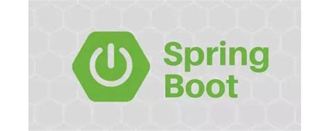 what is springboot common problem php cn
