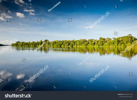 2234 Suriname Landscape Immagini Foto Stock E Grafica Vettoriale
