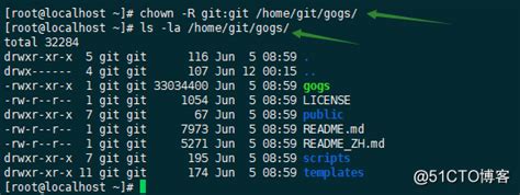 Centos搭建gogs服务centos Rvice Csdn博客