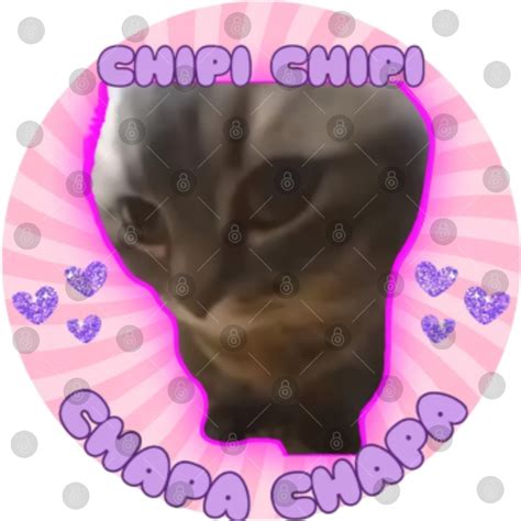 Chipi Chipi Chapa Chapa Dubi Dubi Cat Meme Bibs Chippi Chappa Chippy Chippy Viral Bibs Sold