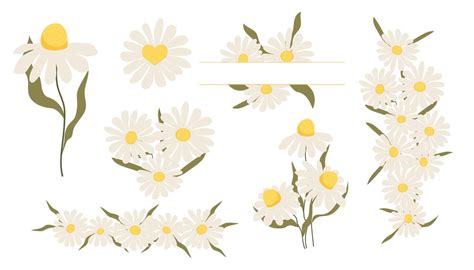 Daisy Flower Border Vector Art Icons And Graphics For Free Download
