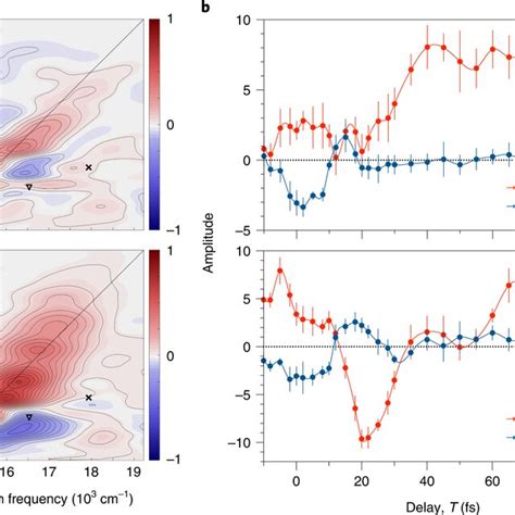 Rapidly Damped Amplitude Oscillations Above And Below The Diagonal Of Download Scientific