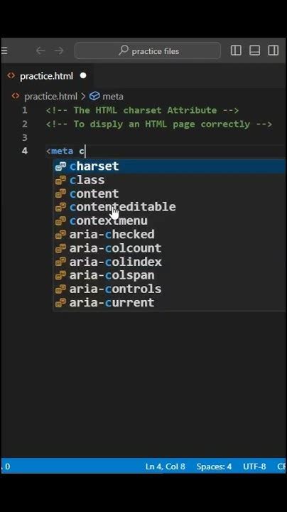 The Html Charset Attributes Htmlbasics Webdevelopment Learnhtml Codingforbeginners Youtube