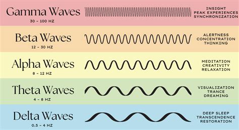 Brainwaves And Yoga — Reunify Yoga