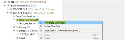 Rap Crud Operations Sapcodes