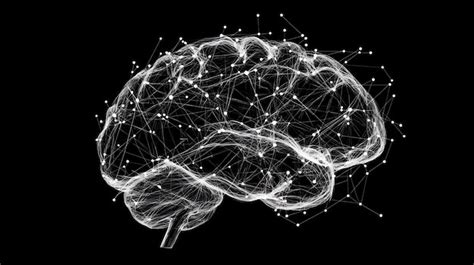 A Monochrome Design Featuring An Abstract Representation Of The Human Brain Neural Pathways