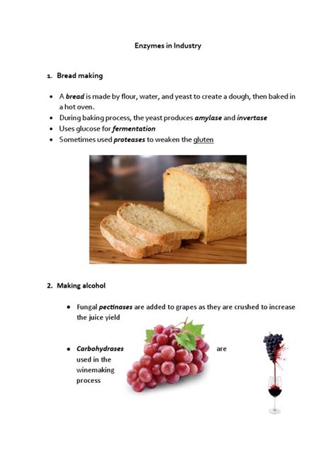 Enzymes In Industry 1 Bread Making Pdf