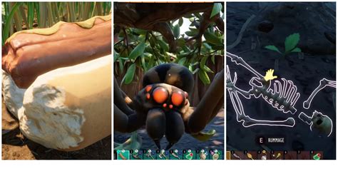 Best Status Effects To Use In Grounded