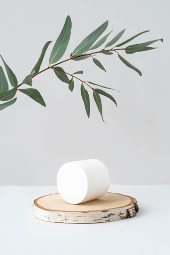 회색 배경에 나무 톱 컷과 유칼립투스 지점에 브랜딩흰색 용기 디스플레이에 화장품 제품 트렌디 한 모형 뷰티 및 스파 광고 둥근 항아리와 녹색 잎 전면 보기입니다 0명에 대한