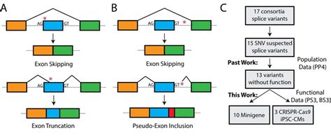 Aberrant Splicing From Cis Genetic Variation And Previous Variant