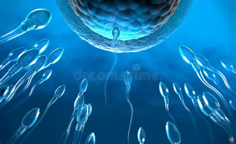 Sex Cells Stock Illustrations 381 Sex Cells Stock Illustrations