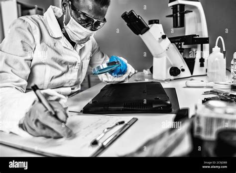 Forensic Science Data Forensic Analyst Examining Laptop Computer Stock