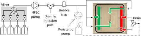Schematic Of The Flow System With Two Of The Three Injection Lines Download Scientific Diagram