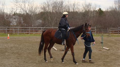 Carrie Rides Again Ottb Success Stories