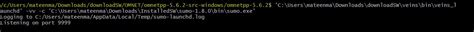 A Runtime Error Occured Error Launching TraCI Server Issue 17