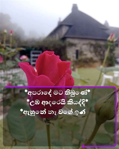 නිසදැස් සහ වදන් Youtube