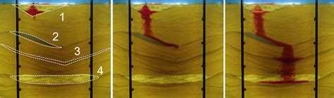 Dnapl Migration Through Heterogeneous Sand