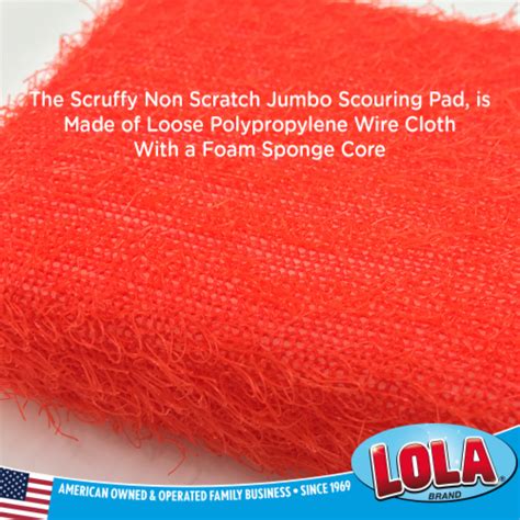Lola Scruffy Scourer Non Scratch Jumbo Scouring Pad Foam Sponge