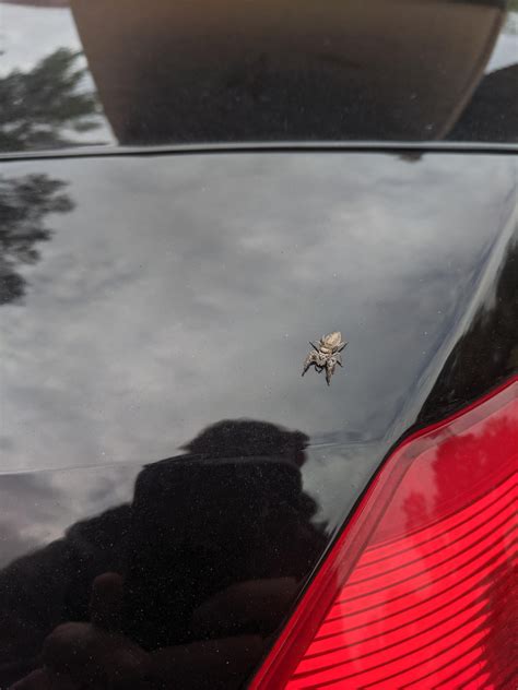 First Tiny Unit Sighting R Tinyunits