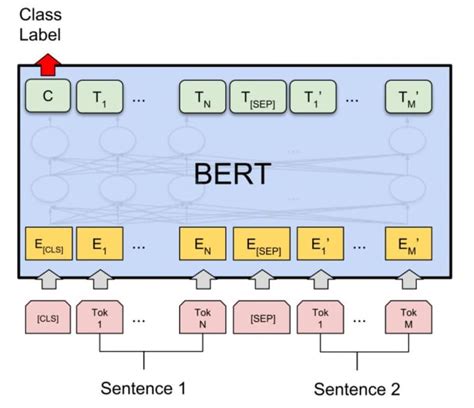 Do Sentiment Analysis Project By Bert Lstm Wordcloud Nlp By Youngucb