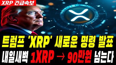 리플 전망 트럼프 Xrp 새로운 행정명령 발표 속보 Youtube