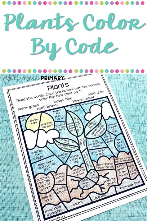 Best Using Color By Code In Science Artofit