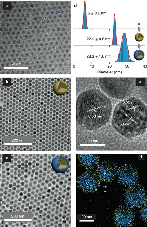 Structural Characterizations Of Coreshellshell Download Scientific Diagram