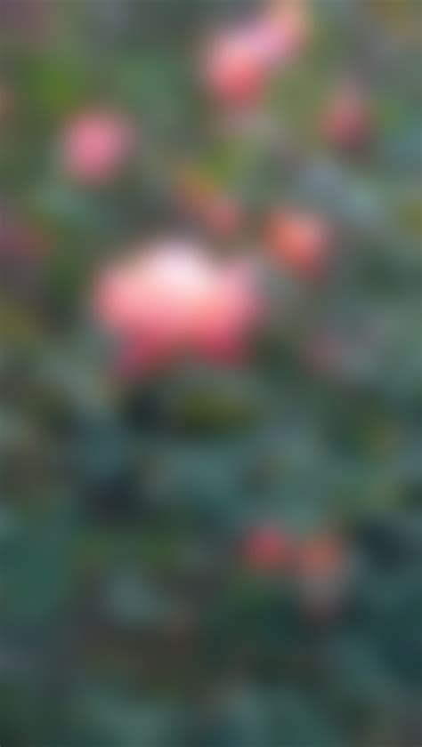 Поздравляем с днем рождения Светлану Ивановну Чмелёву председателя комиссии Профкома КФУ по