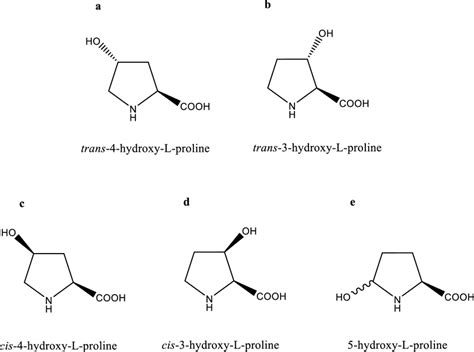 Structures Of The Hydroxyproline Isomers A Trans 4 Hydroxy L Proline