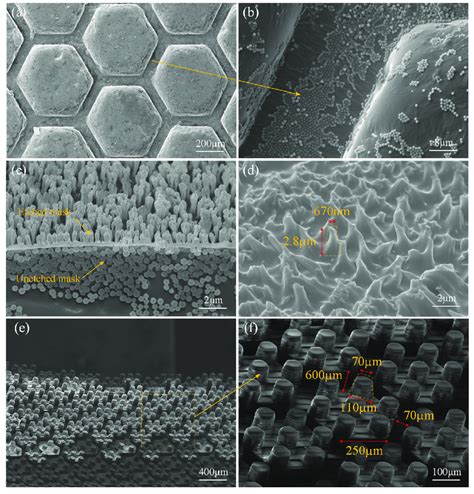 Morphology Of The Hierarchical Structures A A Hexagonal