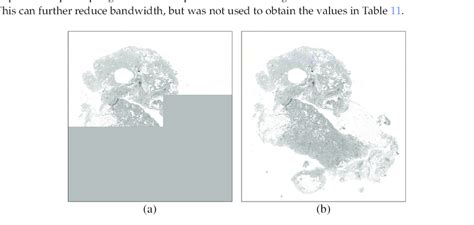 Images Rendered While The Image Data Are Being Retrieved Via A Jpip Download Scientific Diagram